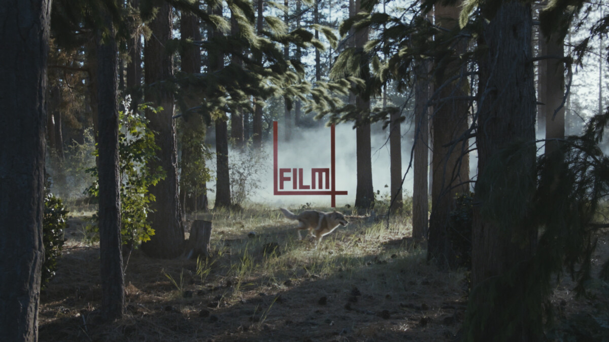 Film4 / ManvsMachine