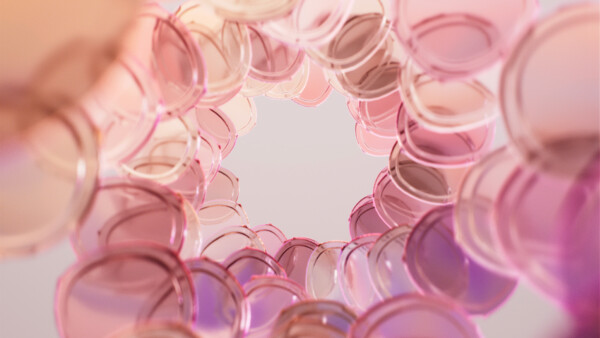 Quest Pro / ManvsMachine