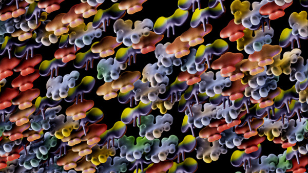 LIFFFE/FFFORMS / ManvsMachine