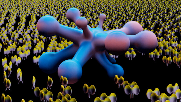 LIFFFE/FFFORMS / ManvsMachine